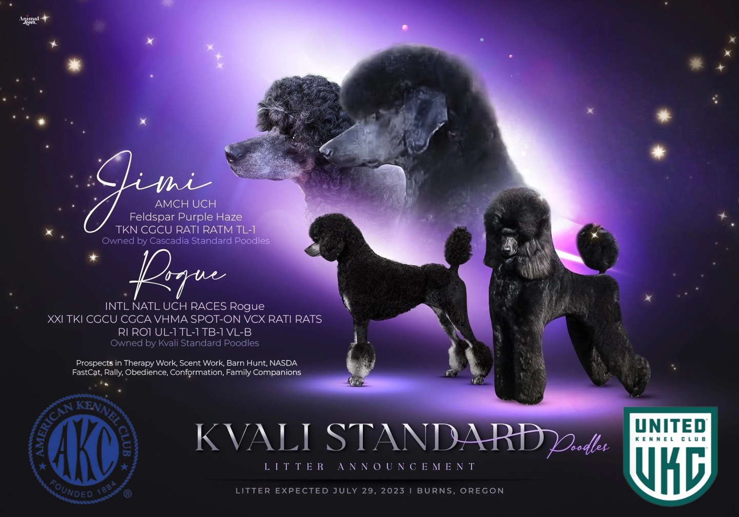 “Finan” AKC CH UCH RACEN UWP Kvali’s Tides Of Fate TKN CGC CGCA CGCU ...