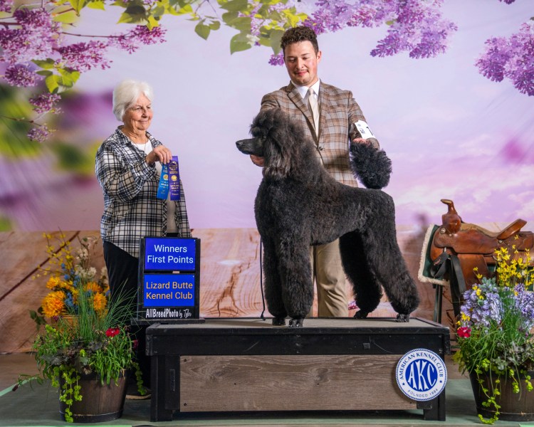 “Finan” AKC CH UCH RACEN UWP Kvali’s Tides Of Fate TKN CGC CGCA CGCU ...