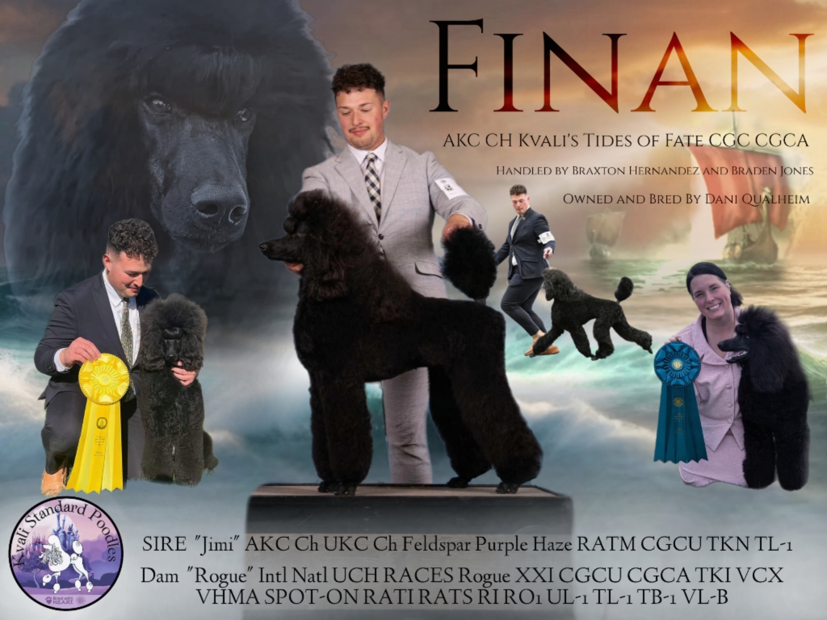 “Finan” AMCH UGCH UWP Kvali’s Tides Of Fate TKN CGC CGCA Total Dog ...