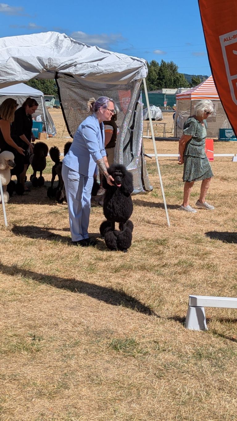 “Finan” AKC CH OHBISS UKC GCH RACEN UWP Kvali’s Tides Of Fate TKN CGC ...